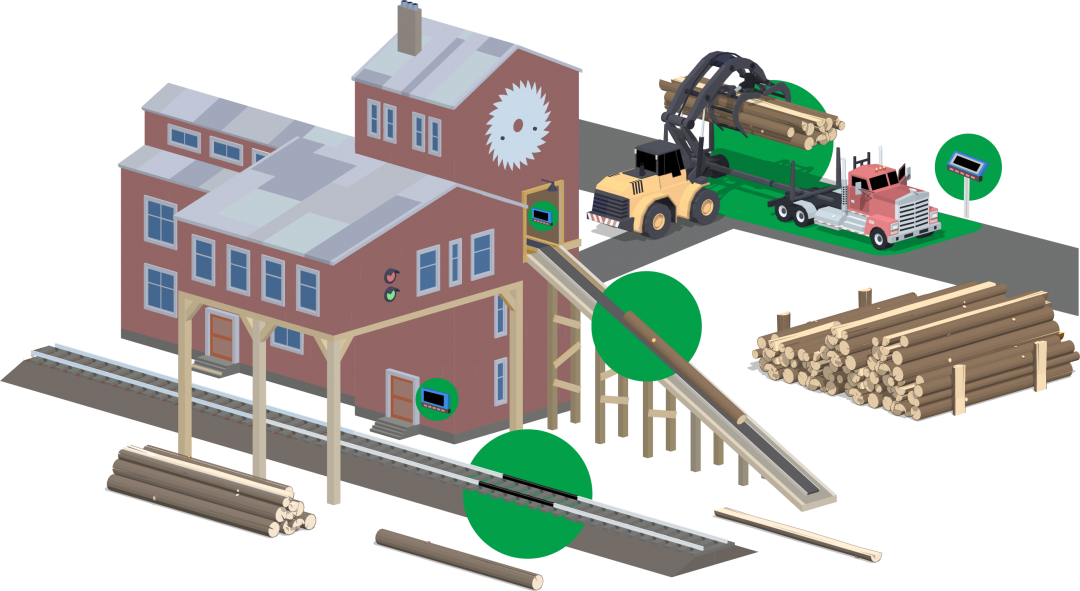 Agriculture weighing & measurement | Cattle Scales, Equipment & Service