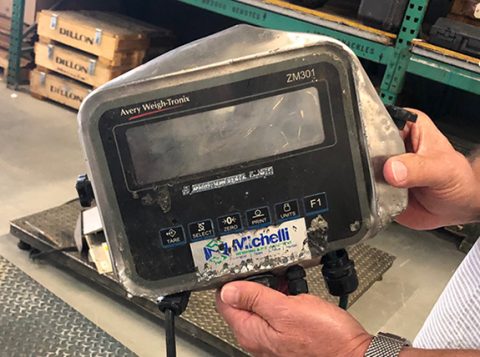 Tips to Protect Scales & Decrease Risk | Michelli Weighing & Measurement